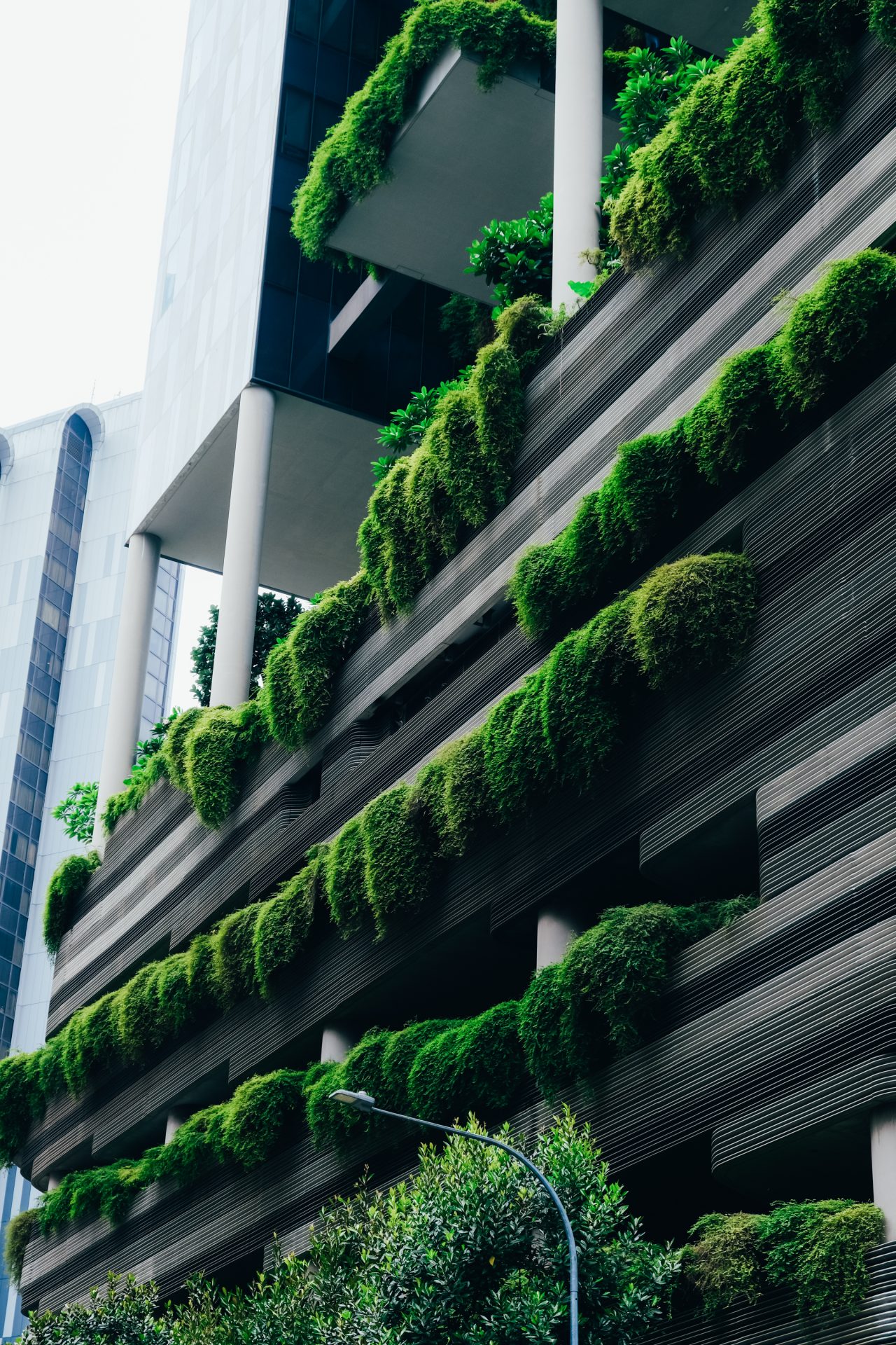 Enhancing Urban Spaces with Sustainable Design | Bizforce