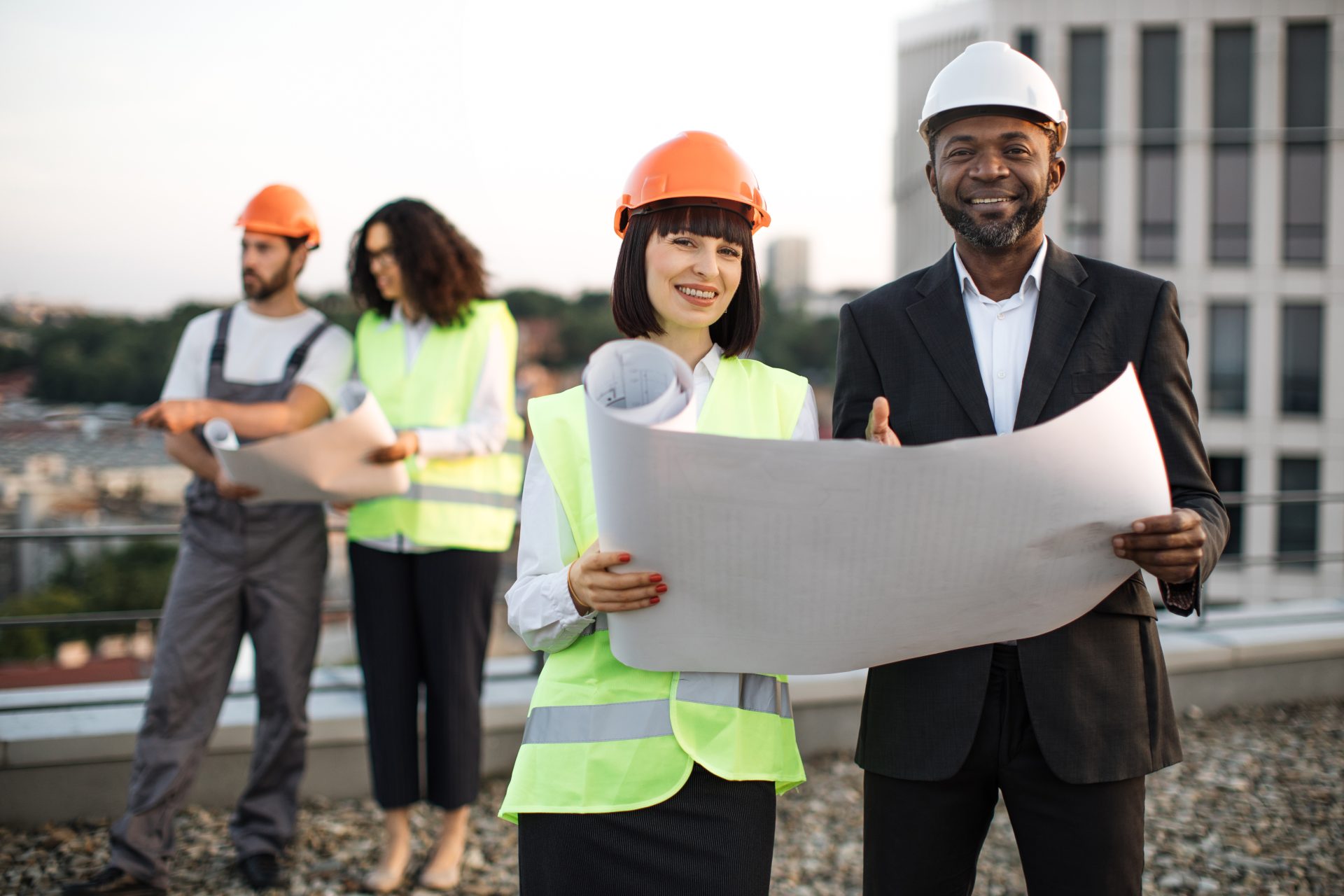 Mentoring and Professional Development for Architectural and ...